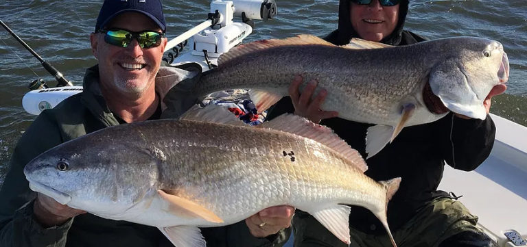 Raptor Lures – Run With The Best