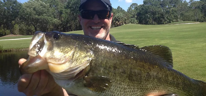 Raptor Lures – Run With The Best