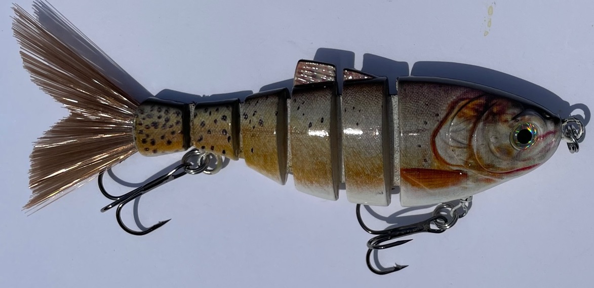 Raptor Candy Shad – Raptor Lures