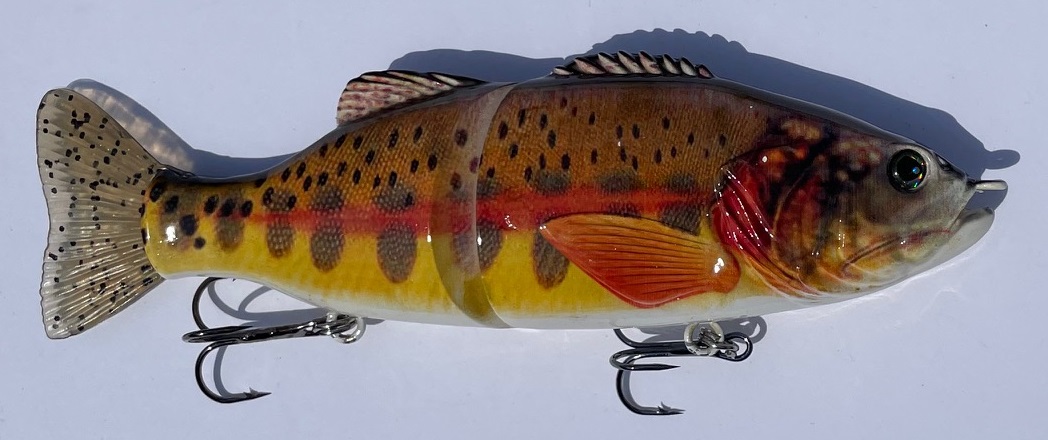 DOA Bass – Raptor Lures