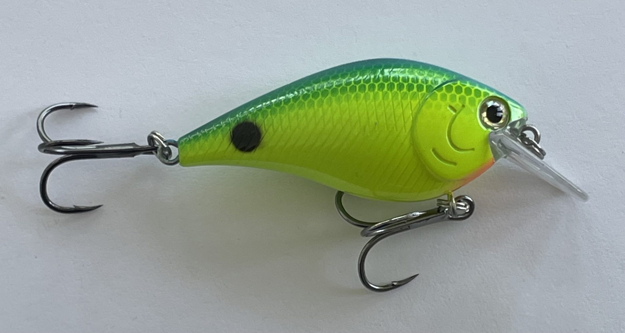 Raptor 2.5 and 3.0 Squarebills – Raptor Lures